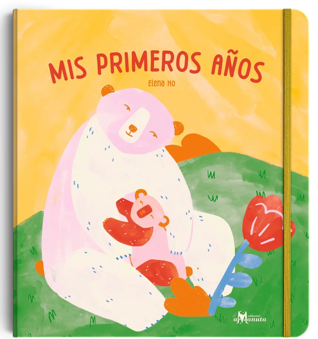 Mis primeros años – Librería Tripantu