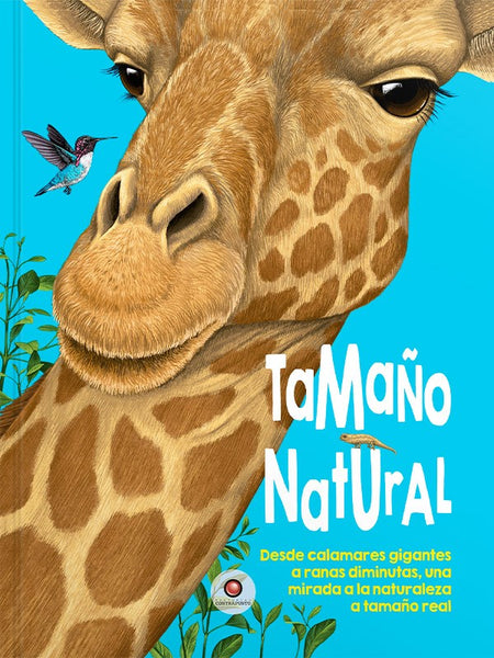 Tamaño natural – Librería Tripantu